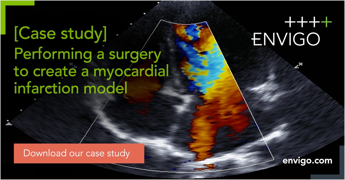 Performing a myocardial infarction surgery in rats